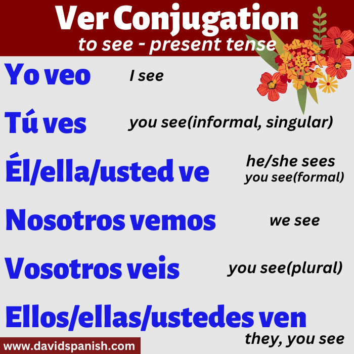 Ver Conjugation How To Conjugate To See In Spanish Ver Conjugation How To Conjugate To See In Spanish